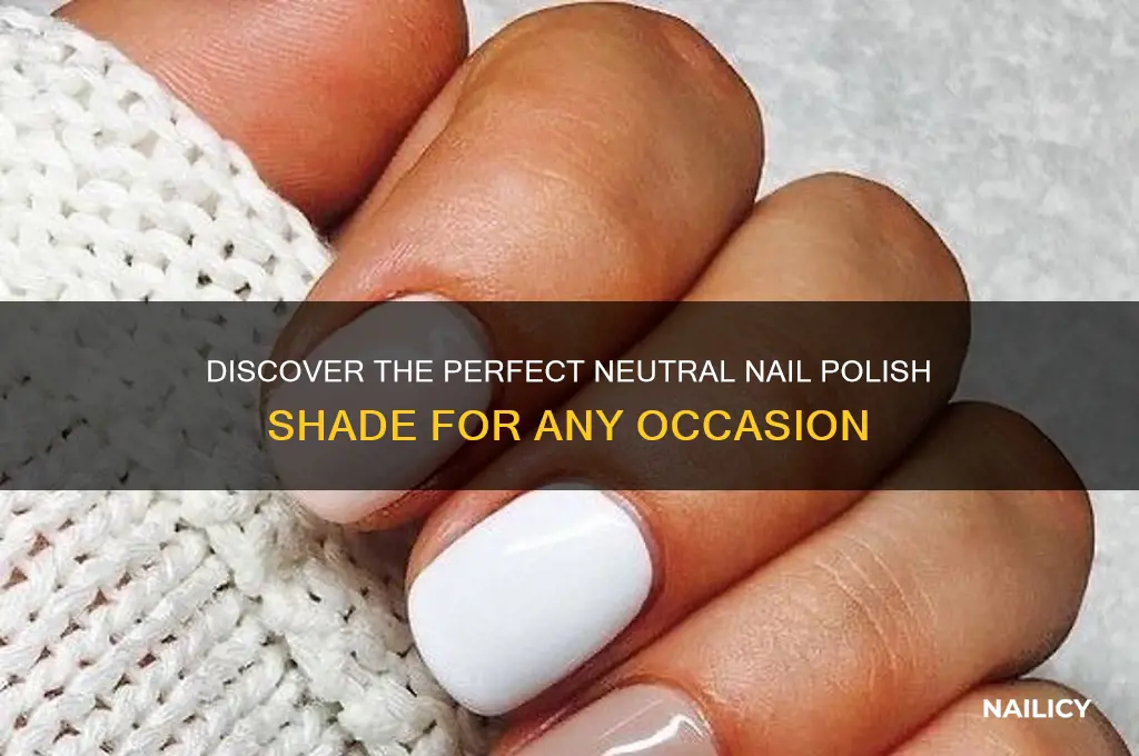 Discover The Perfect Neutral Nail Polish Shade For Any Occasion | Nailicy