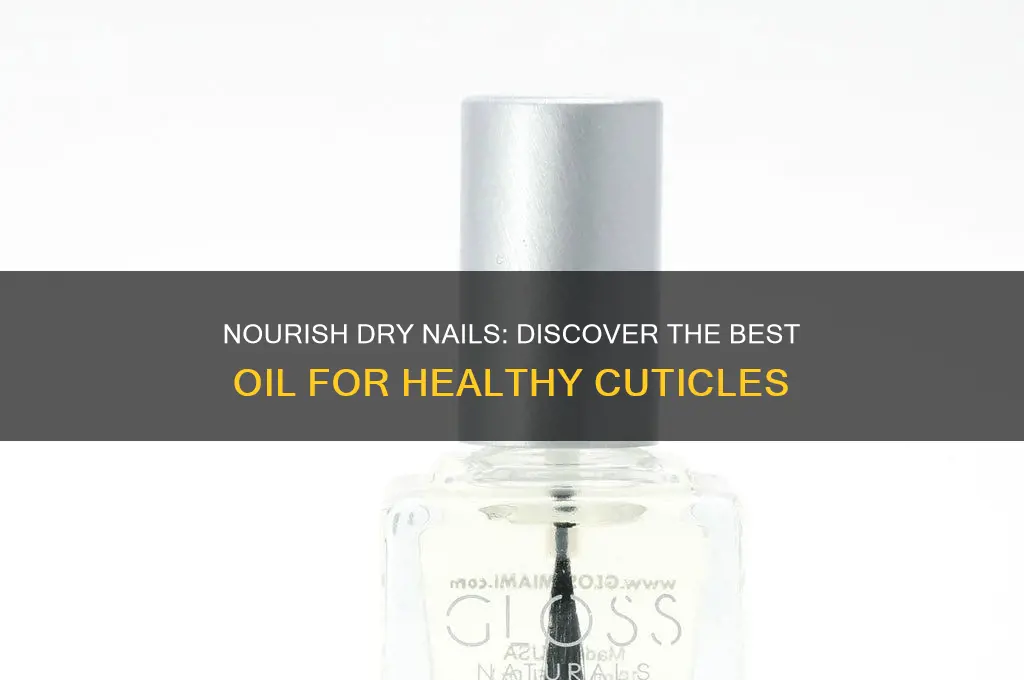 Nourish Dry Nails: Discover The Best Oil For Healthy Cuticles | Nailicy
