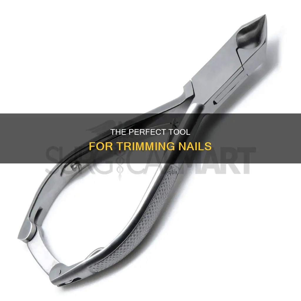The Perfect Tool For Trimming Nails | Nailicy