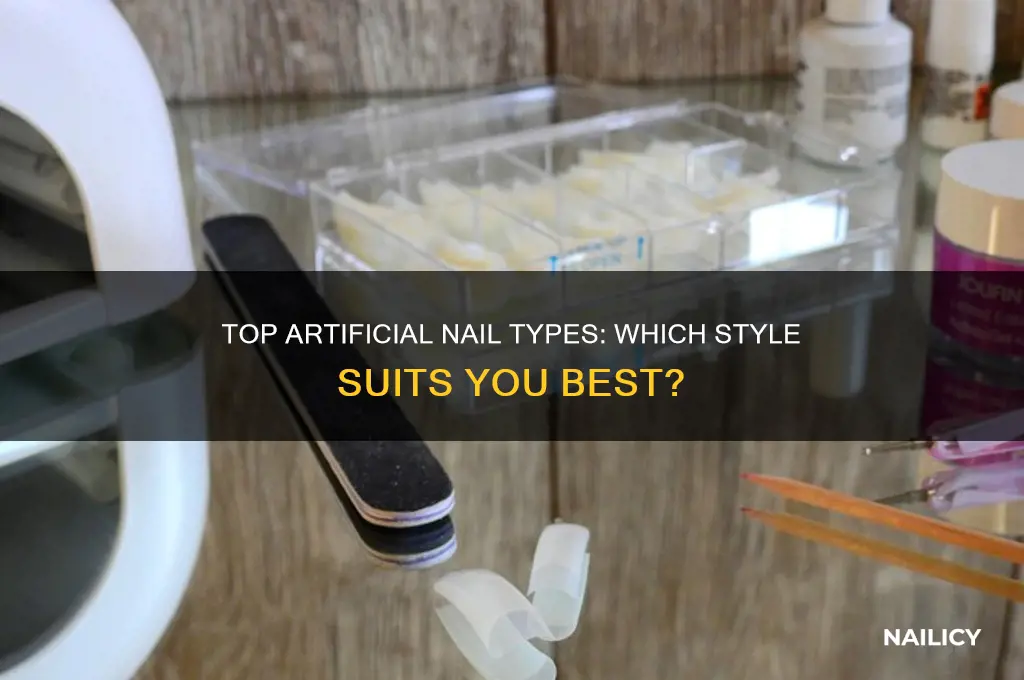 Top Artificial Nail Types: Which Style Suits You Best? | Nailicy