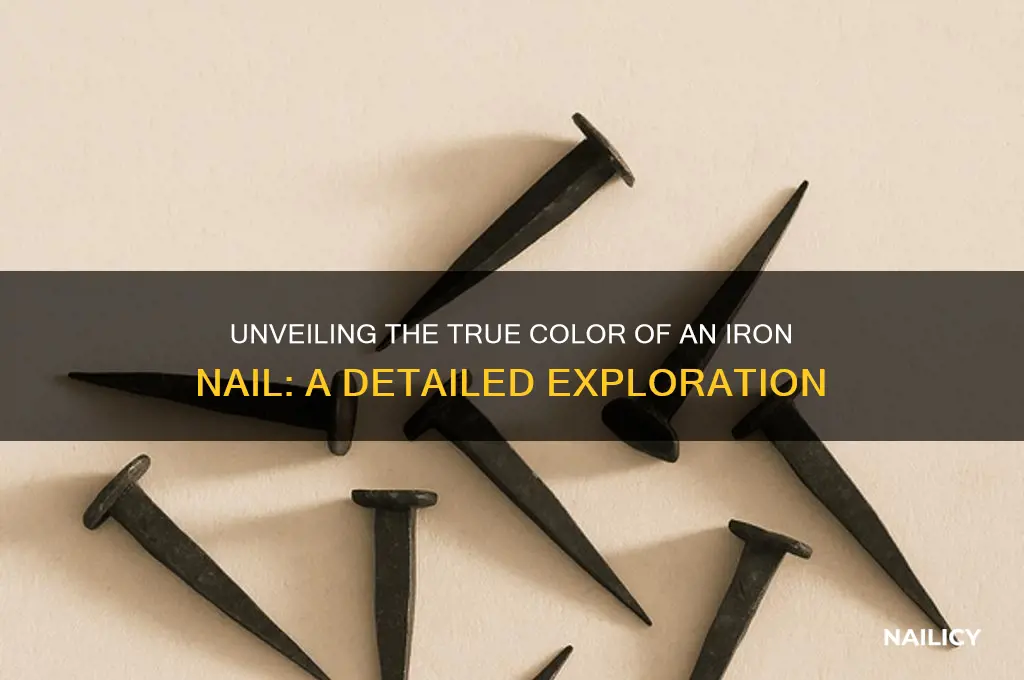 Unveiling The True Color Of An Iron Nail: A Detailed Exploration | Nailicy