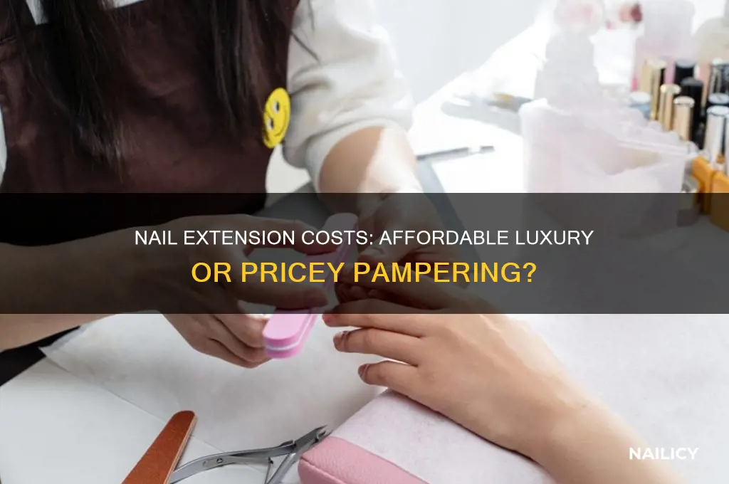 Nail Extension Costs: Affordable Luxury Or Pricey Pampering? | Nailicy