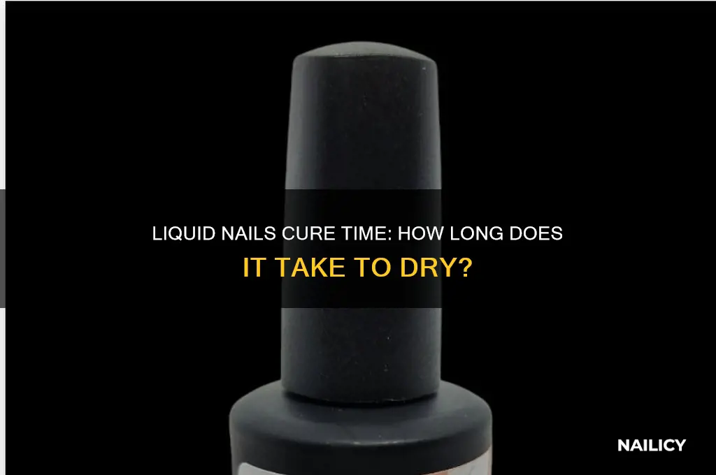Liquid Nails Cure Time: How Long Does It Take To Dry? | Nailicy