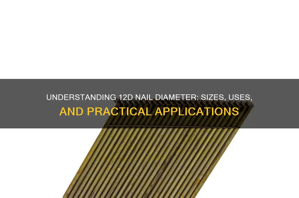 Understanding 12D Nail Diameter: Sizes, Uses, And Practical ...