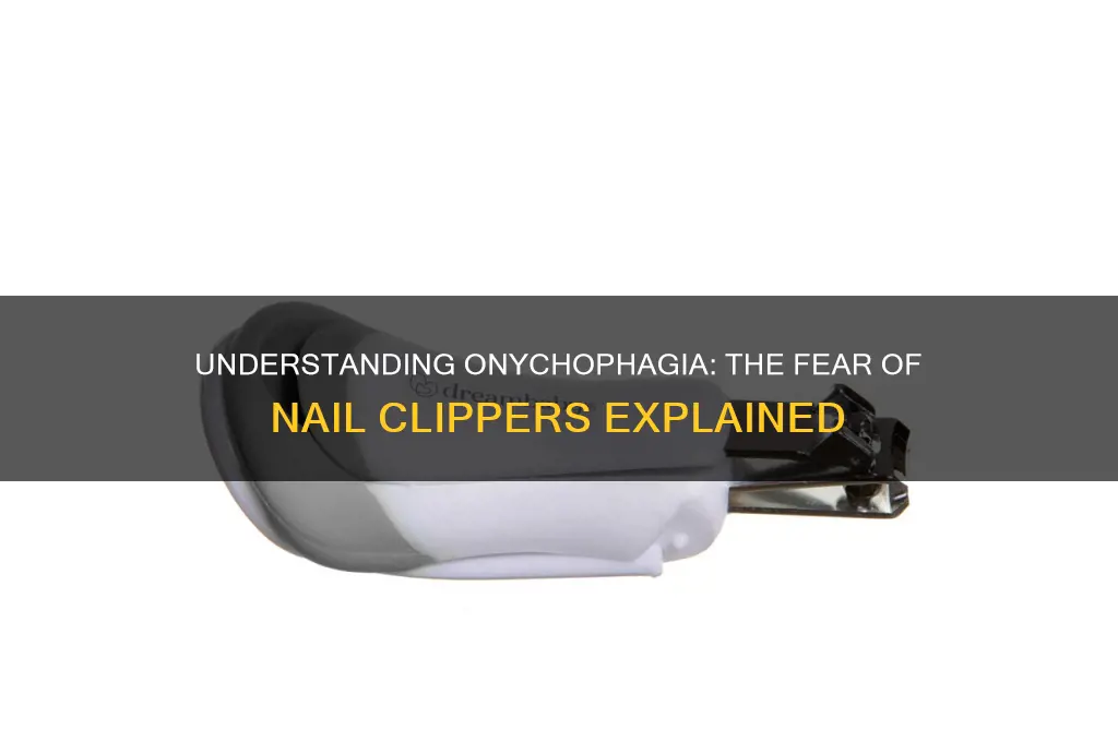 Understanding Onychophagia: The Fear Of Nail Clippers Explained | Nailicy