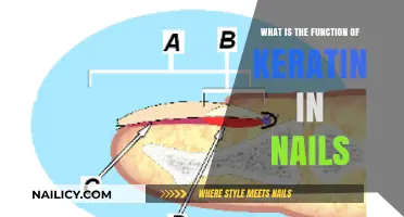Understanding Keratin's Role In Strengthening And Protecting Your Nails ...