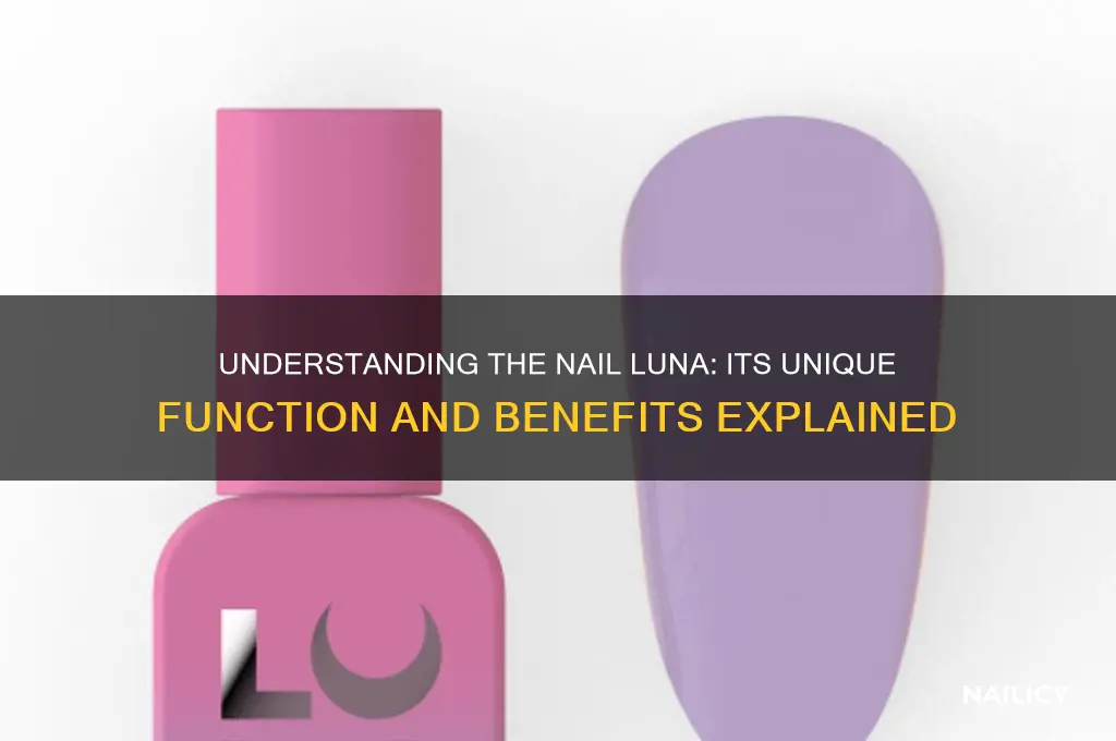 Understanding The Nail Luna: Its Unique Function And Benefits Explained ...