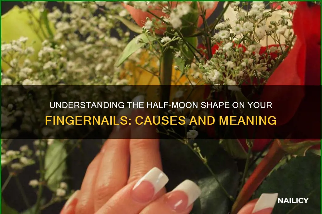 Understanding The Half-Moon Shape On Your Fingernails: Causes And ...