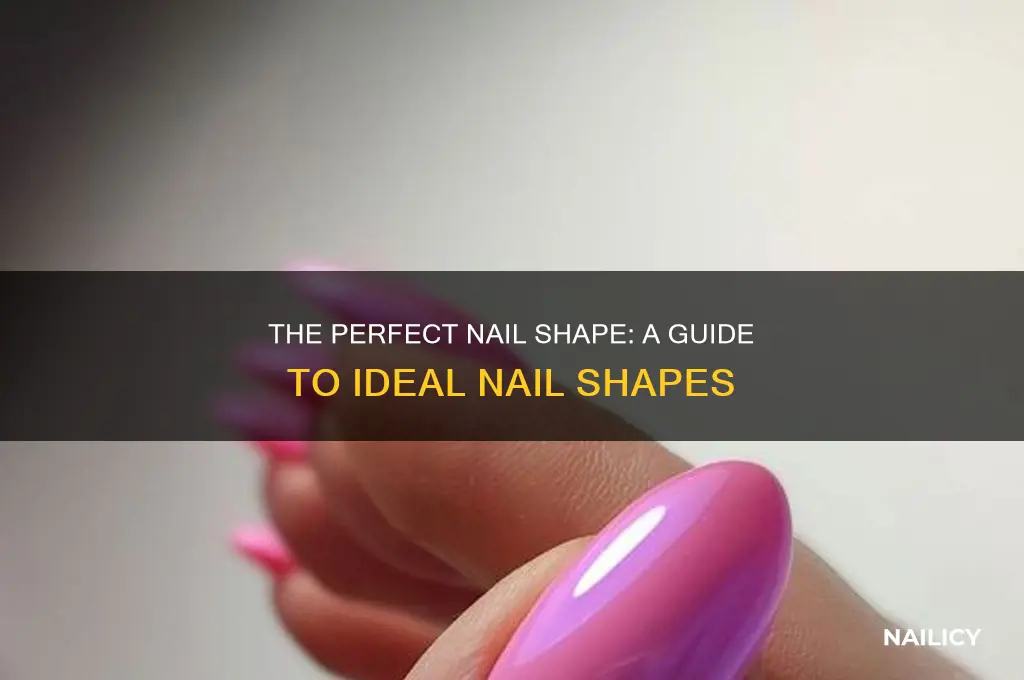 The Perfect Nail Shape: A Guide To Ideal Nail Shapes | Nailicy