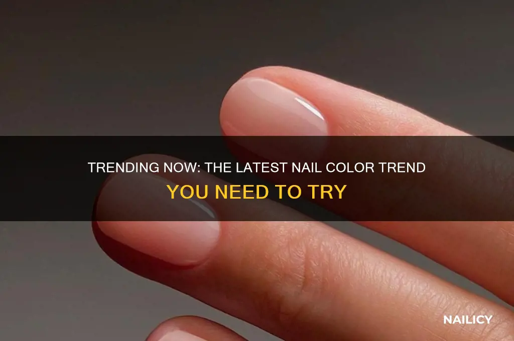 Trending Now: The Latest Nail Color Trend You Need To Try | Nailicy