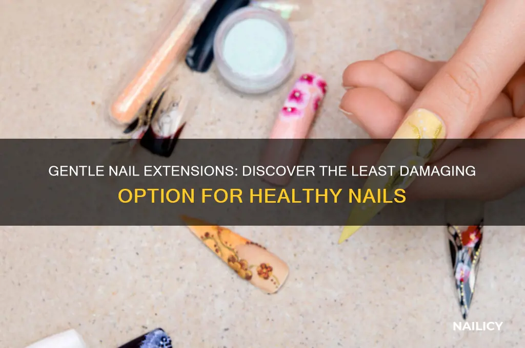 Gentle Nail Extensions: Discover The Least Damaging Option For Healthy ...