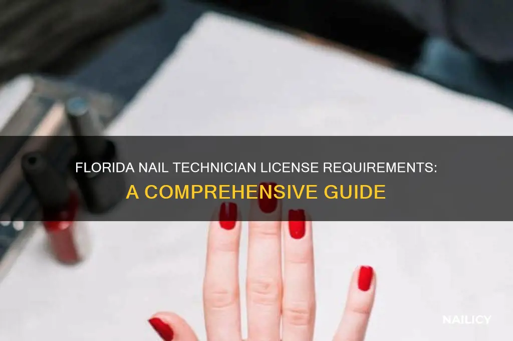 Florida Nail Technician License Requirements: A Comprehensive Guide ...