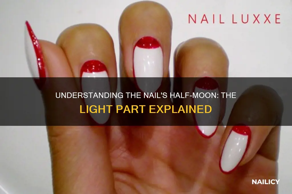 Understanding The Nail's Half-Moon: The Light Part Explained | Nailicy