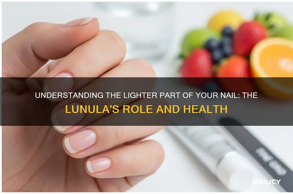 Understanding The Lighter Part Of Your Nail: The Lunula's Role And ...