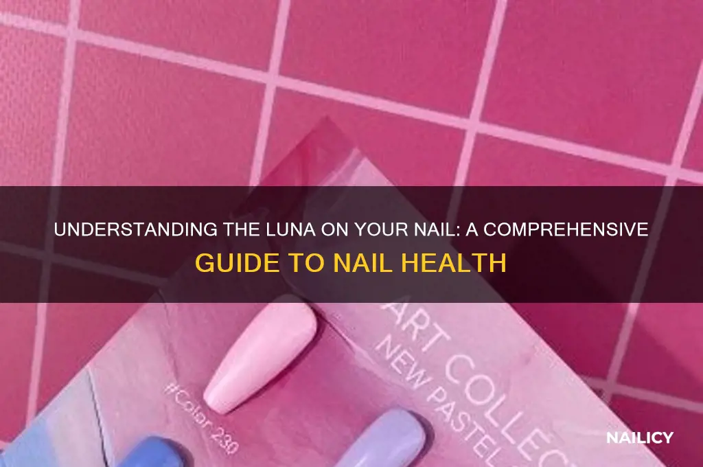 Understanding The Luna On Your Nail: A Comprehensive Guide To Nail ...