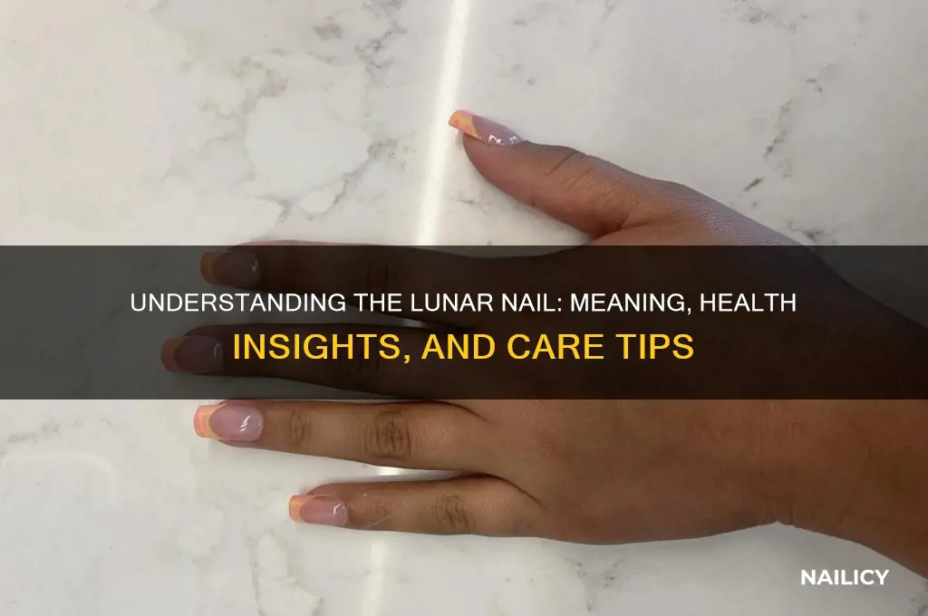 Understanding The Lunar Nail: Meaning, Health Insights, And Care Tips ...