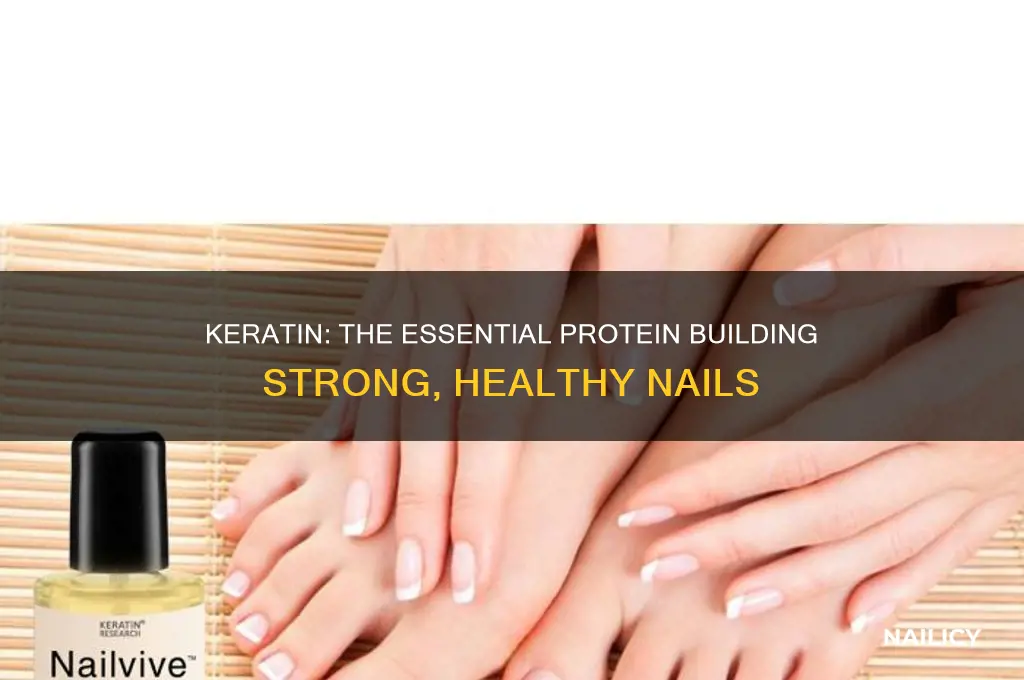 Keratin: The Essential Protein Building Strong, Healthy Nails | Nailicy