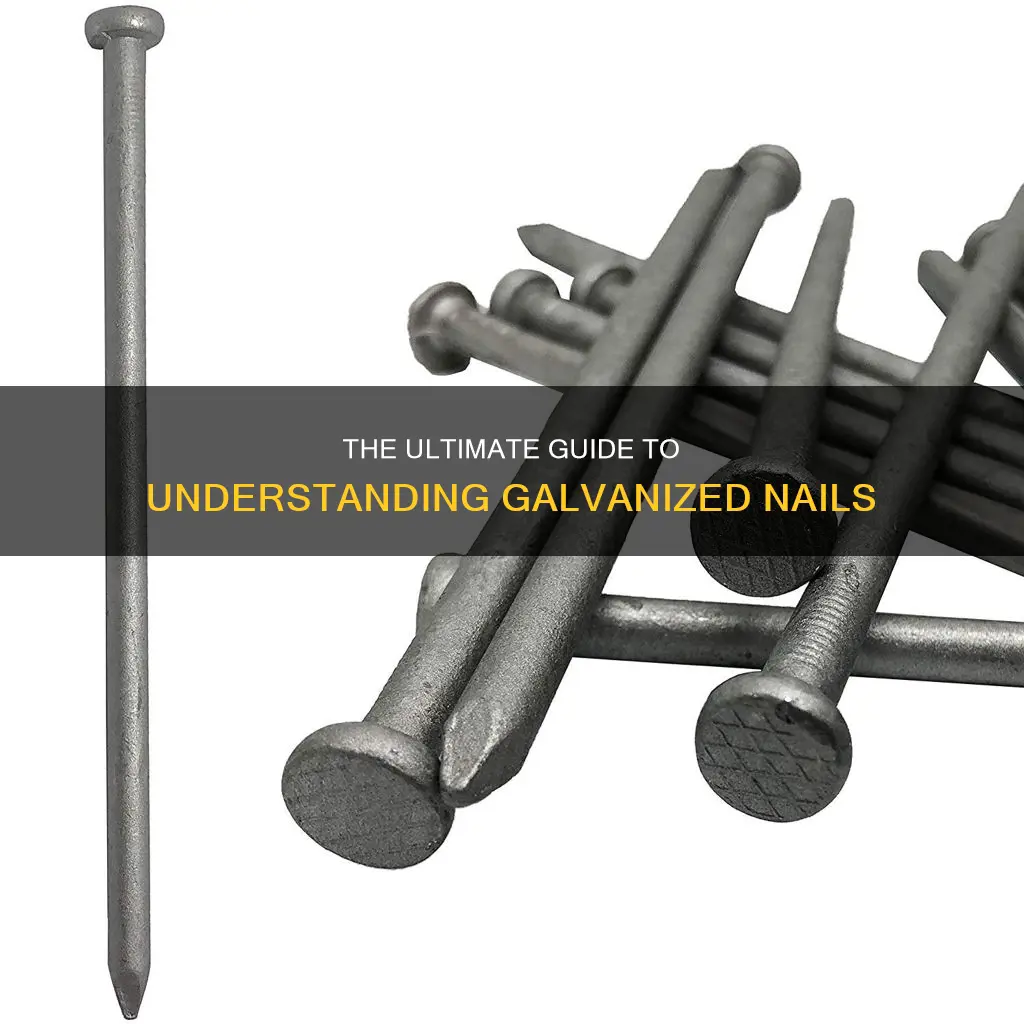 The Ultimate Guide To Understanding Galvanized Nails | Nailicy