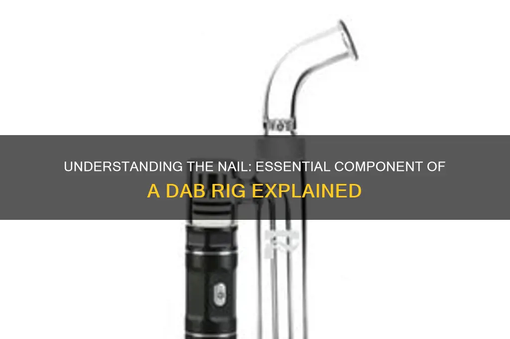 Understanding The Nail: Essential Component Of A Dab Rig Explained ...
