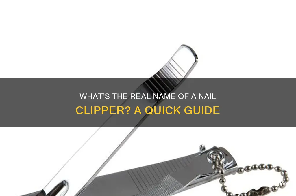 What’S The Real Name Of A Nail Clipper? A Quick Guide | Nailicy