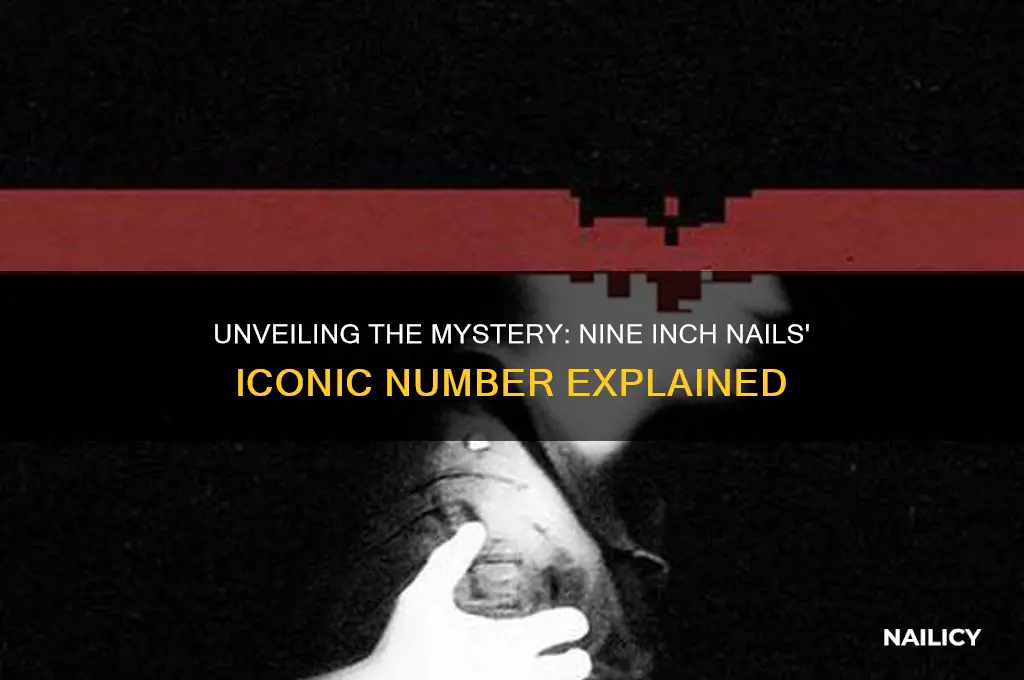 Unveiling The Mystery: Nine Inch Nails' Iconic Number Explained | Nailicy