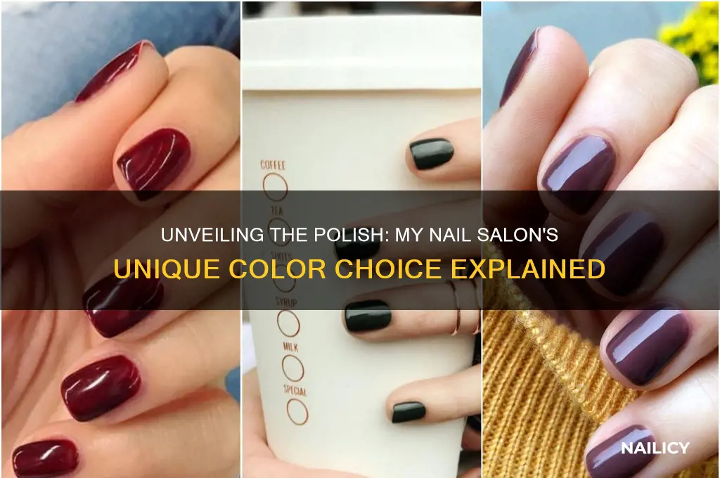 Unveiling The Polish: My Nail Salon's Unique Color Choice Explained ...