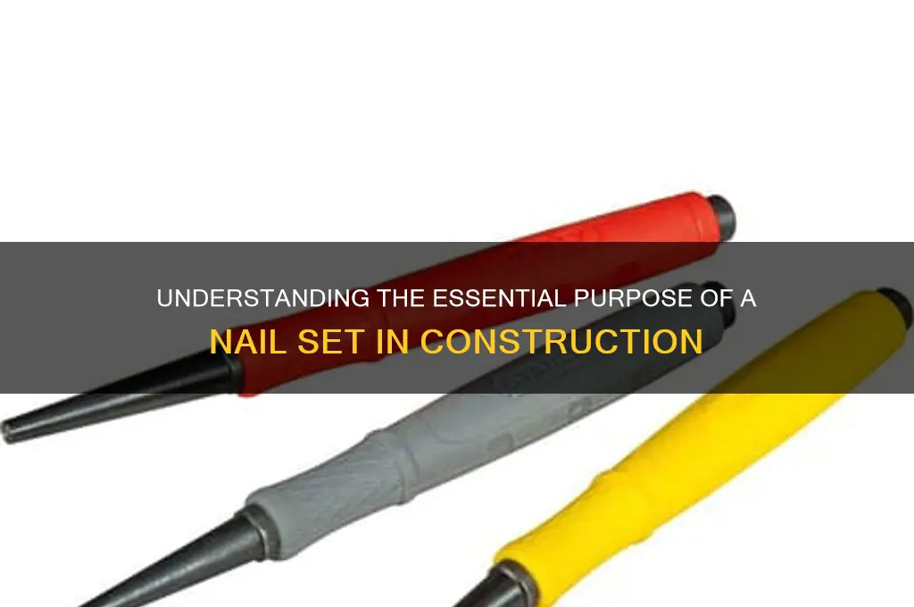 Understanding The Essential Purpose Of A Nail Set In Construction | Nailicy