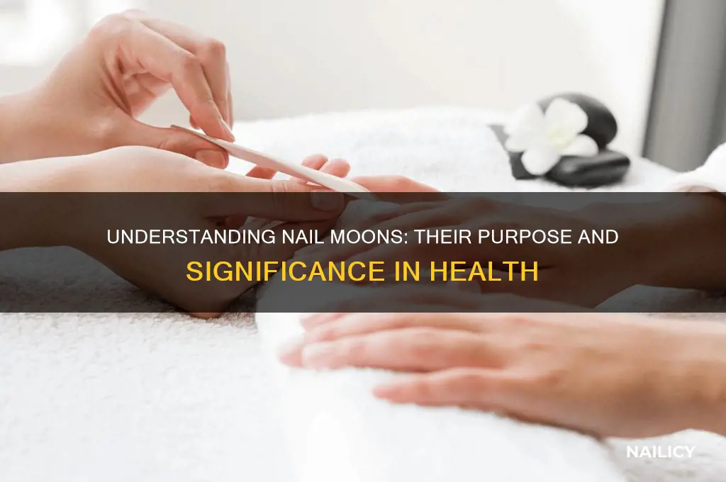 Understanding Nail Moons: Their Purpose And Significance In Health ...