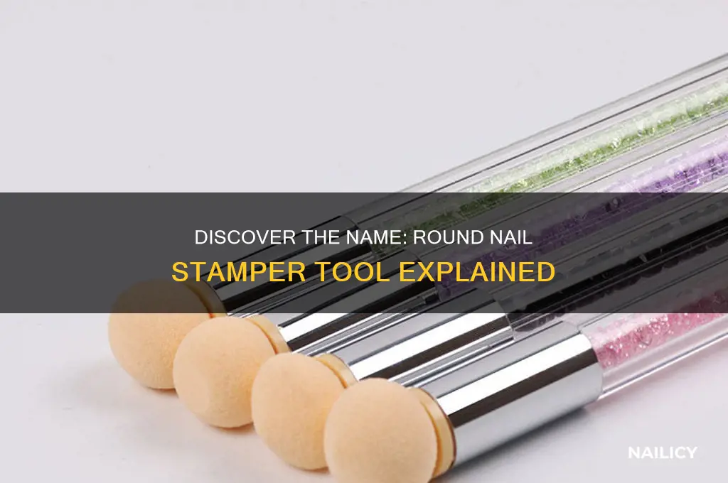 Discover The Name: Round Nail Stamper Tool Explained | Nailicy