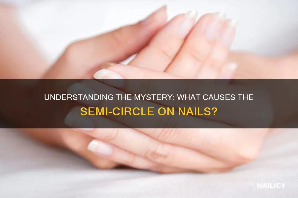 Understanding The Mystery: What Causes The Semi-Circle On Nails? | Nailicy