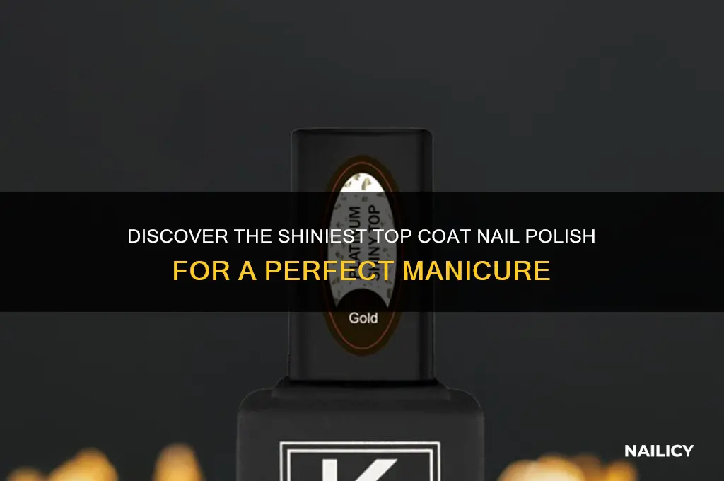 Discover The Shiniest Top Coat Nail Polish For A Perfect Manicure | Nailicy