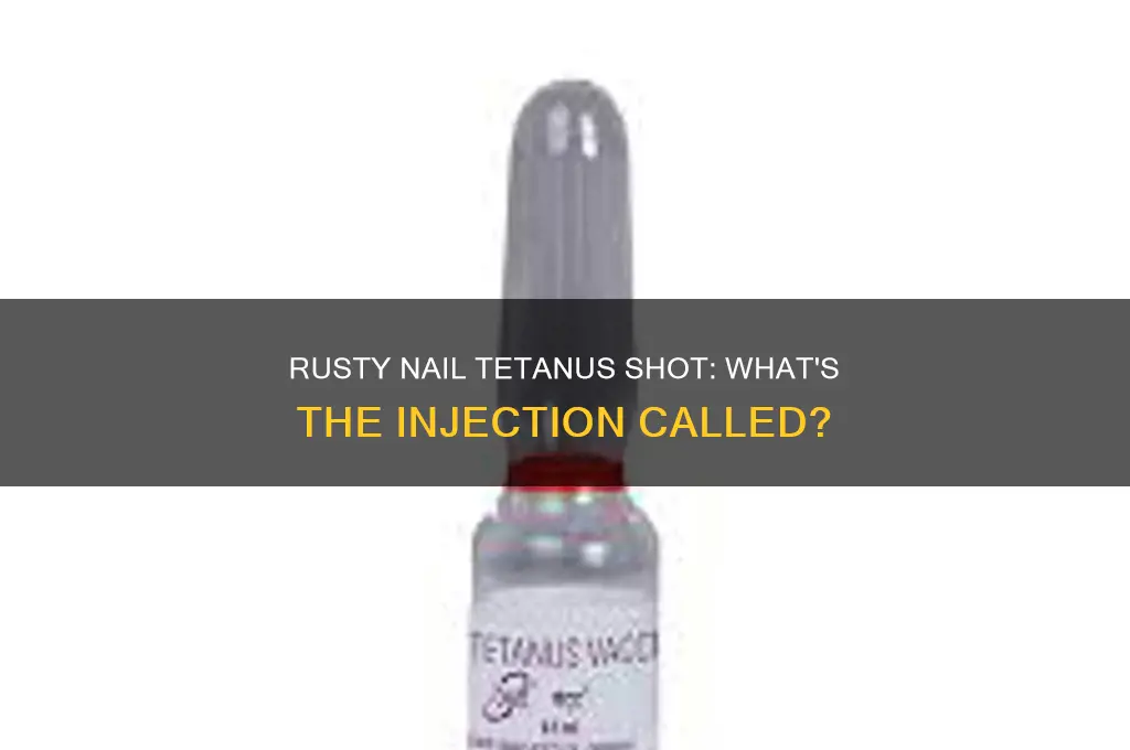 Rusty Nail Tetanus Shot: What's The Injection Called? | Nailicy