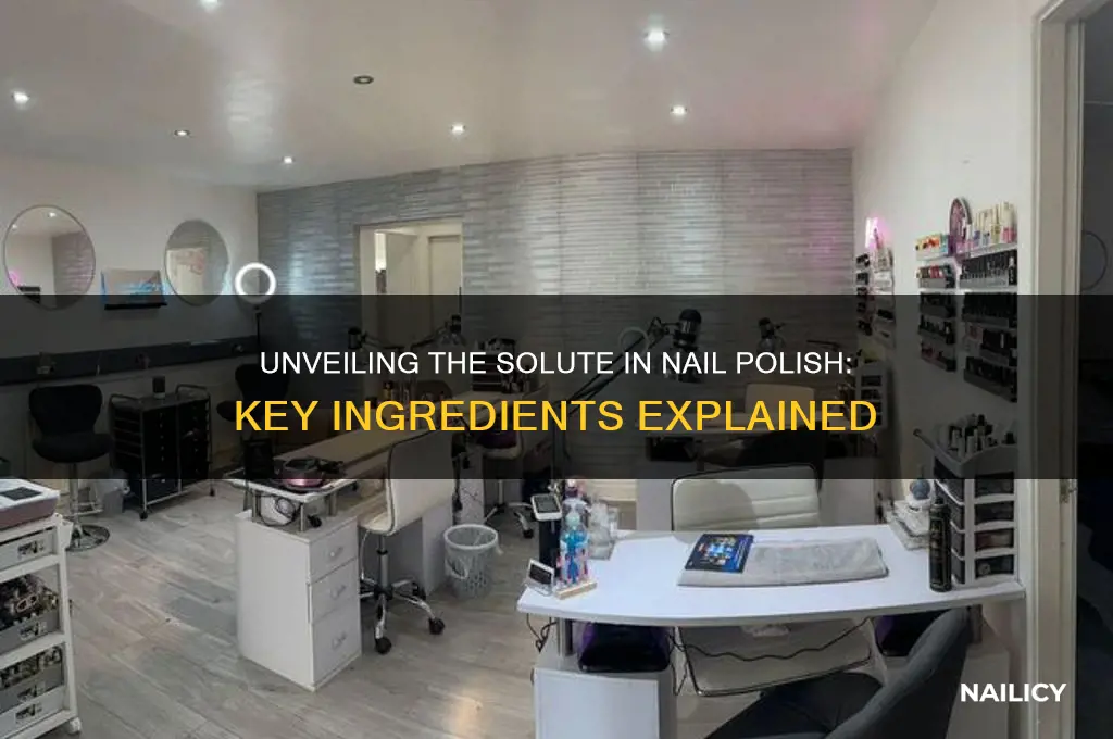 Unveiling The Solute In Nail Polish: Key Ingredients Explained | Nailicy