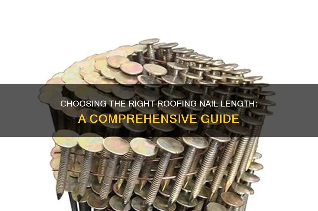 Choosing The Right Roofing Nail Length: A Comprehensive Guide | Nailicy