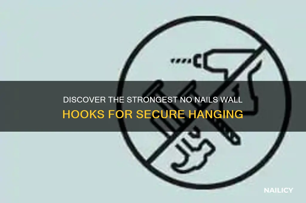 Discover The Strongest No Nails Wall Hooks For Secure Hanging | Nailicy