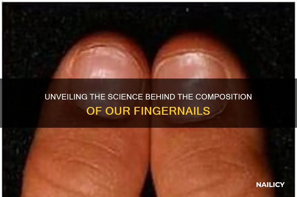 Unveiling The Science Behind The Composition Of Our Fingernails | Nailicy