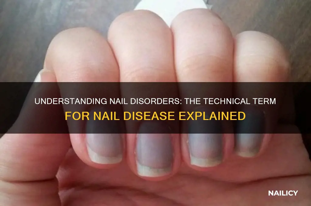 Understanding Nail Disorders: The Technical Term For Nail Disease ...