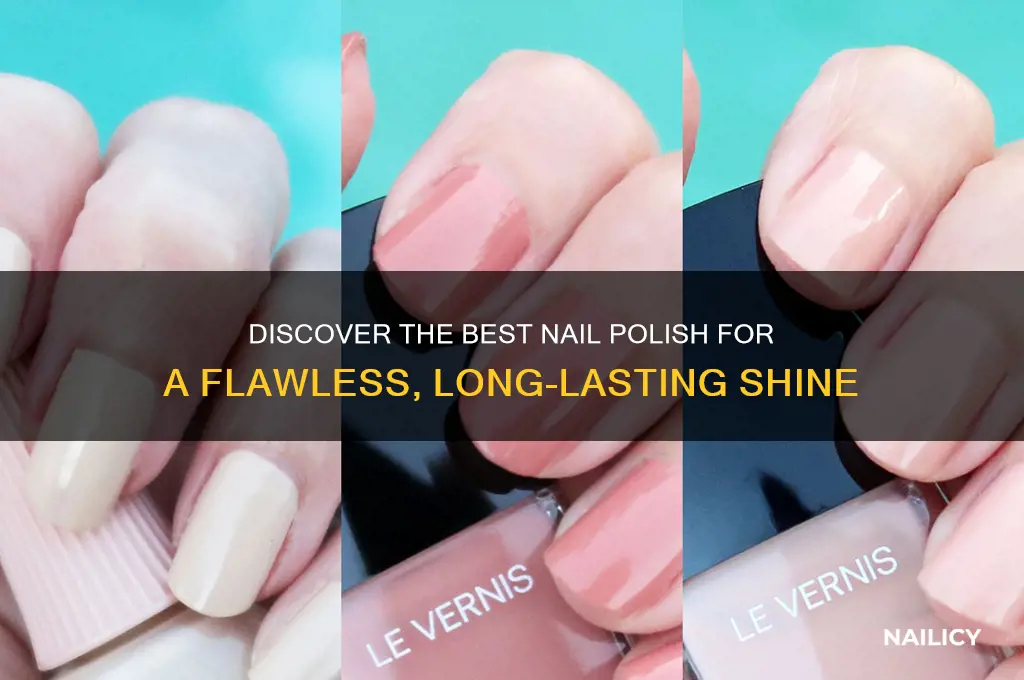 Discover The Best Nail Polish For A Flawless, Long-Lasting Shine | Nailicy