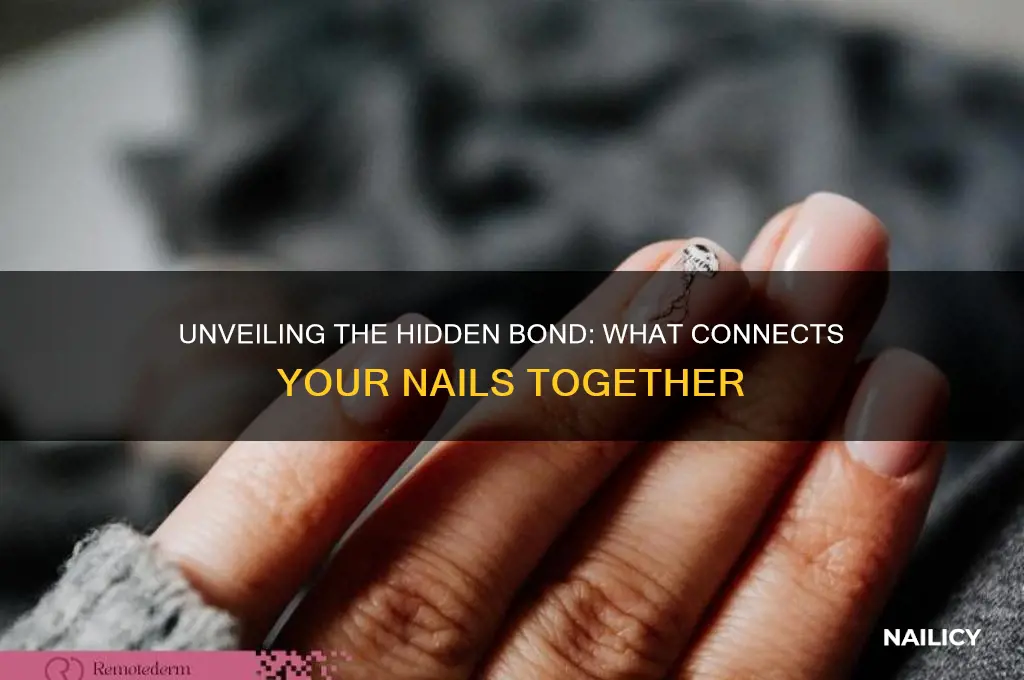 Unveiling The Hidden Bond: What Connects Your Nails Together | Nailicy