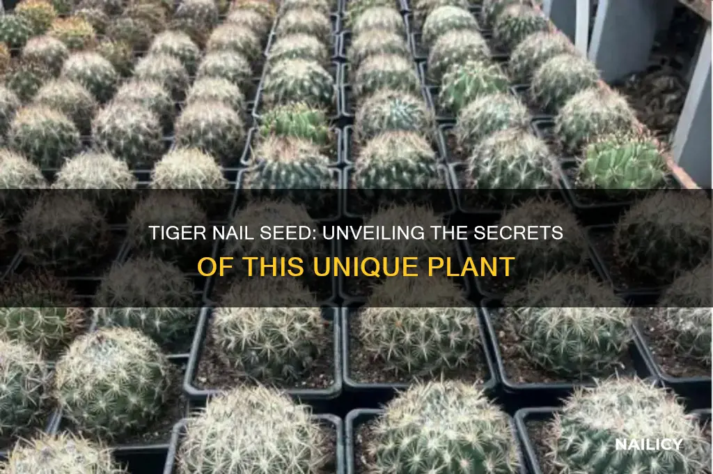 Tiger Nail Seed: Unveiling The Secrets Of This Unique Plant | Nailicy