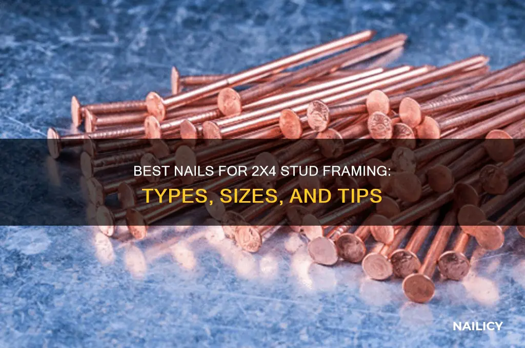Best Nails For 2X4 Stud Framing: Types, Sizes, And Tips | Nailicy
