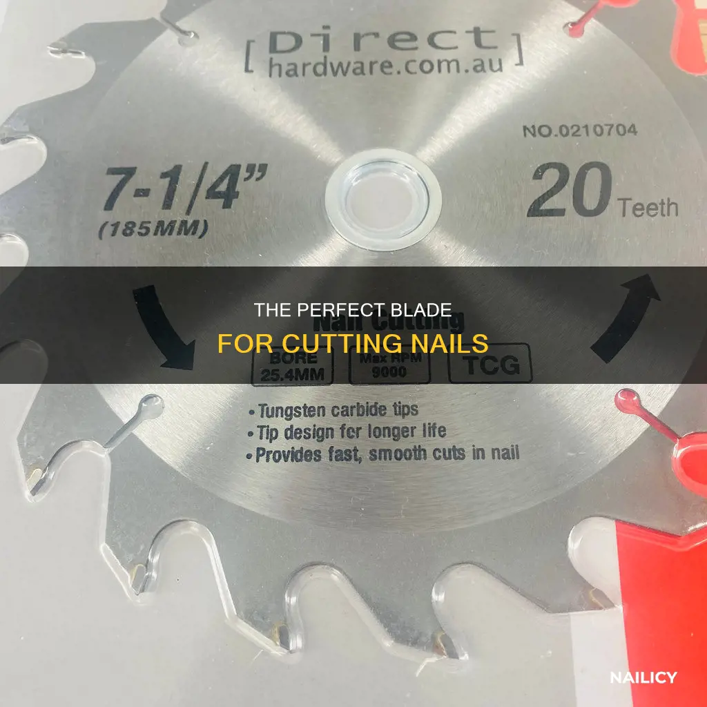 The Perfect Blade For Cutting Nails | Nailicy