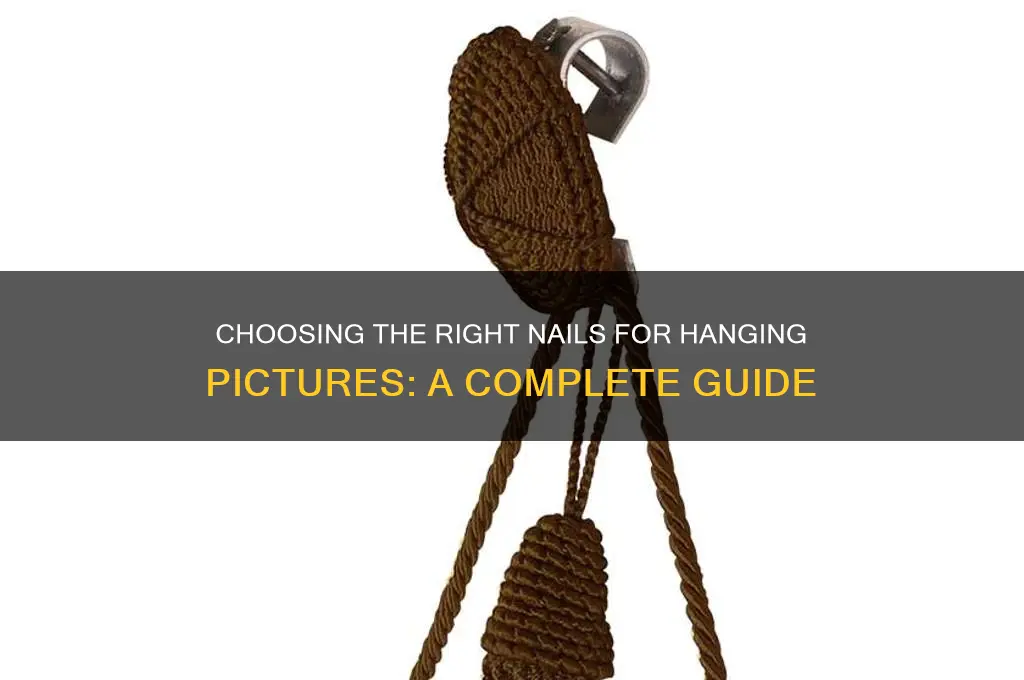 Choosing The Right Nails For Hanging Pictures: A Complete Guide | Nailicy
