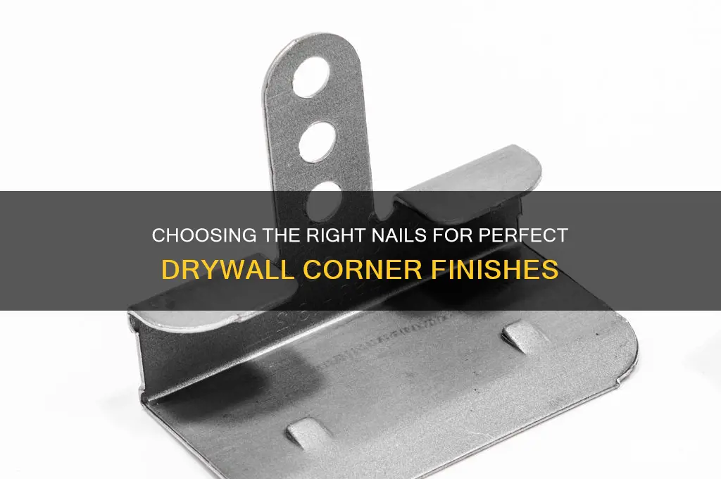 Choosing The Right Nails For Perfect Drywall Corner Finishes | Nailicy