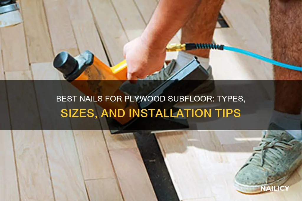 Best Nails For Plywood Subfloor: Types, Sizes, And Installation Tips ...