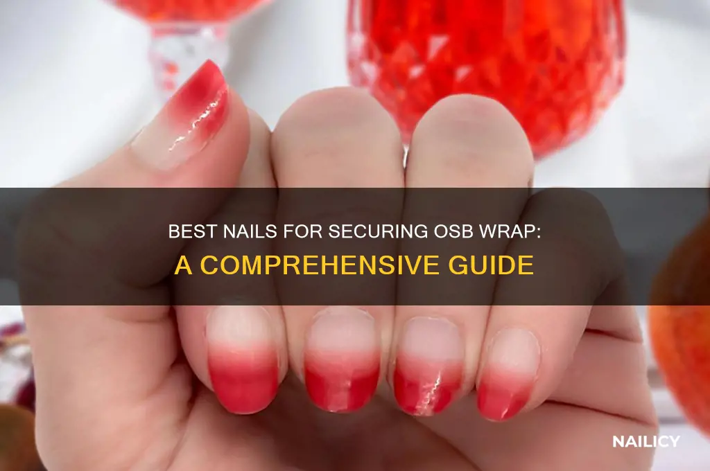 Best Nails For Securing Osb Wrap: A Comprehensive Guide | Nailicy