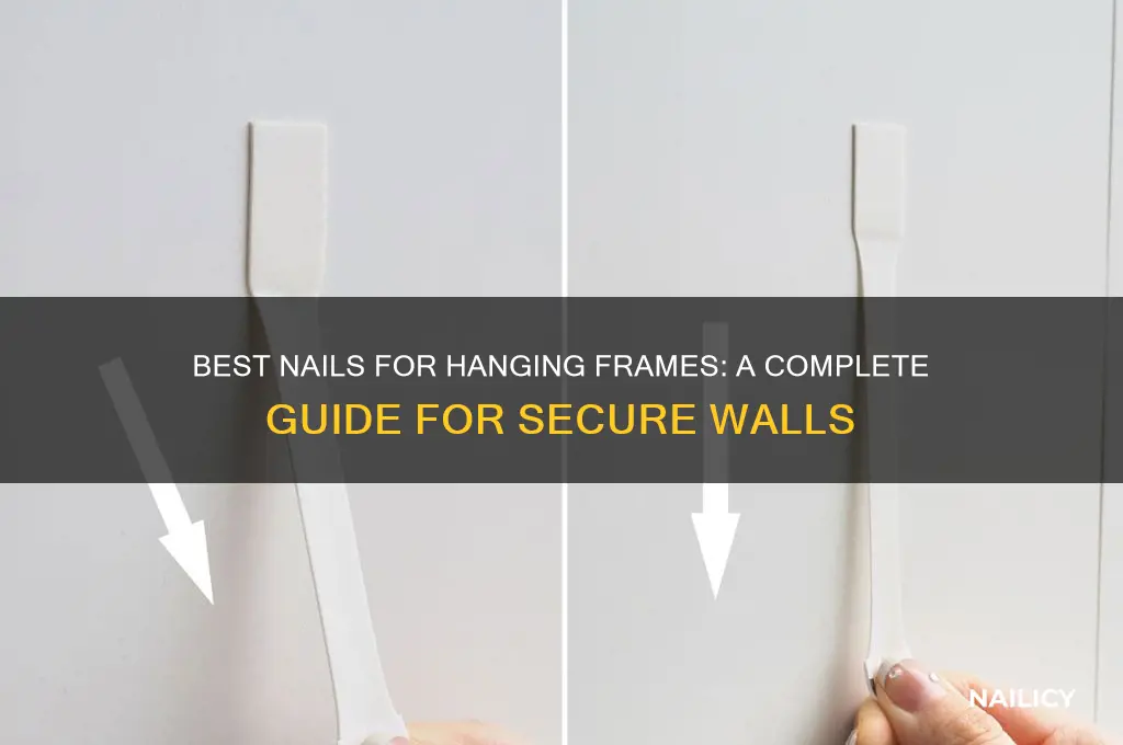 Best Nails For Hanging Frames: A Complete Guide For Secure Walls | Nailicy