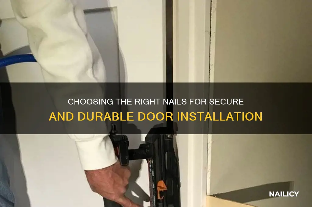Choosing The Right Nails For Secure And Durable Door Installation | Nailicy