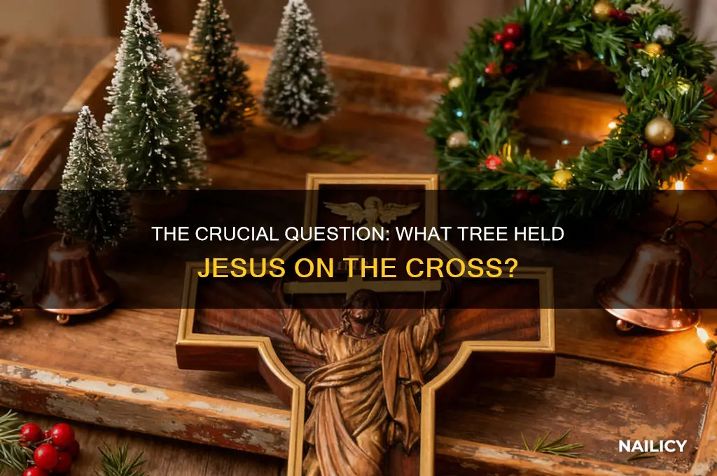 The Crucial Question: What Tree Held Jesus On The Cross? | Nailicy