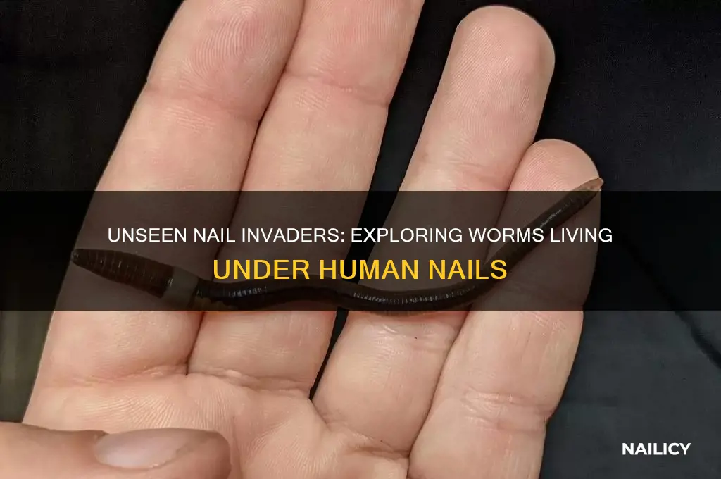 Unseen Nail Invaders: Exploring Worms Living Under Human Nails | Nailicy
